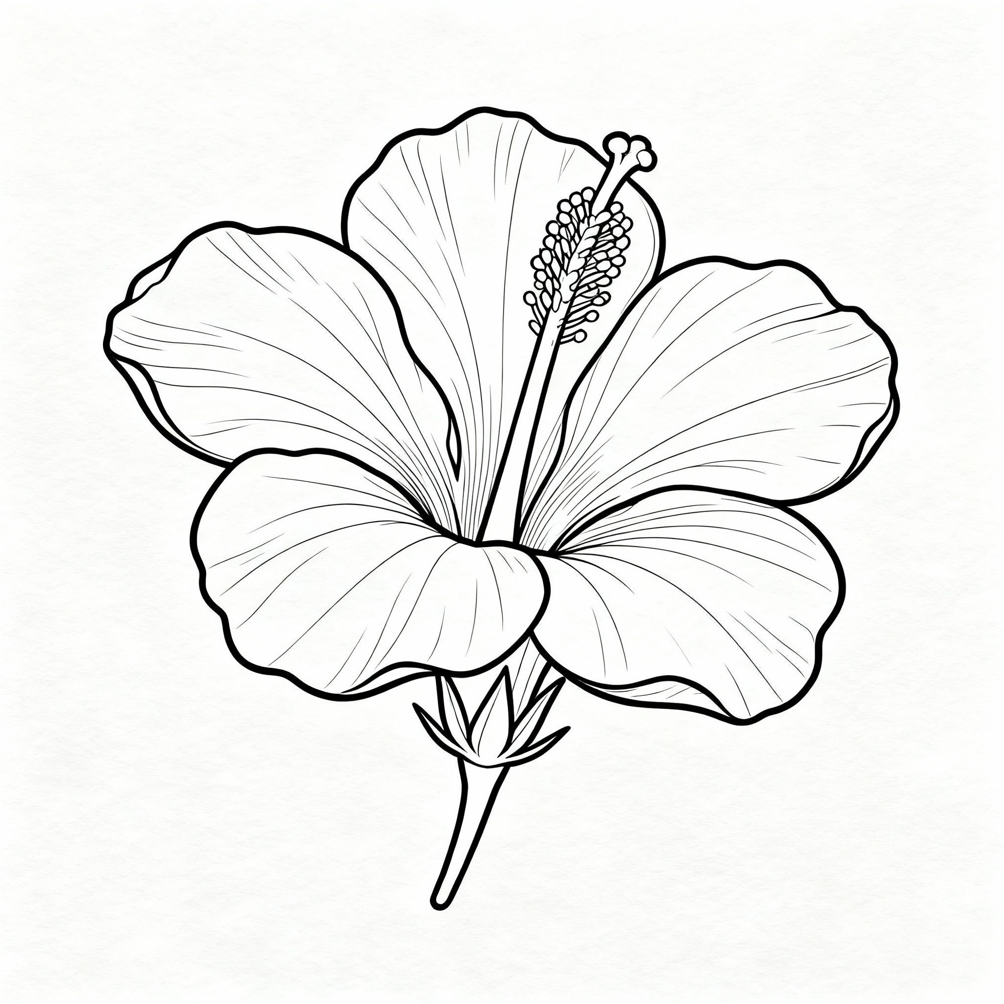 Easy Hibiscus Flower Drawing - Create Beautiful Art With AI