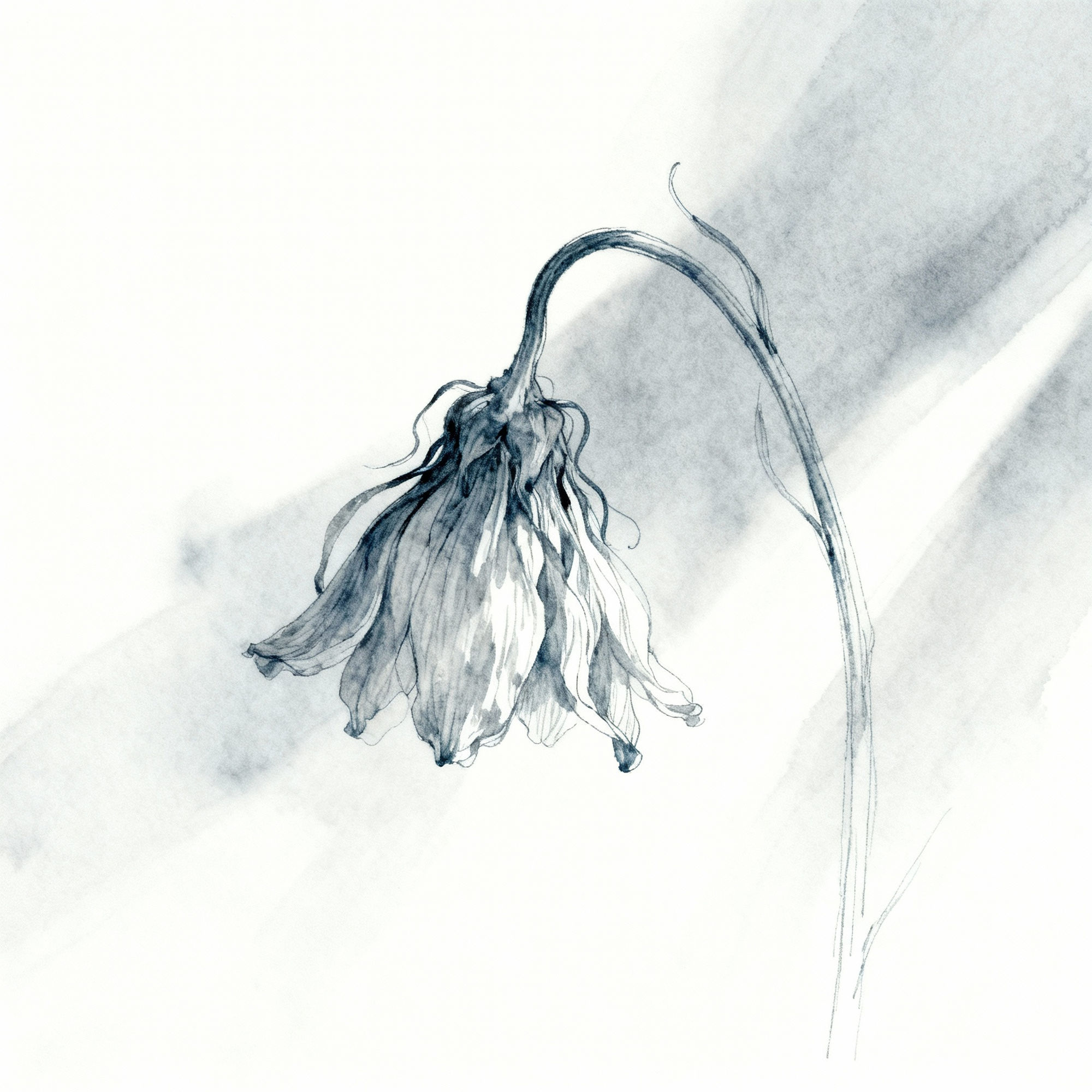 Frail Drawing Art - Create Delicate AI Drawings