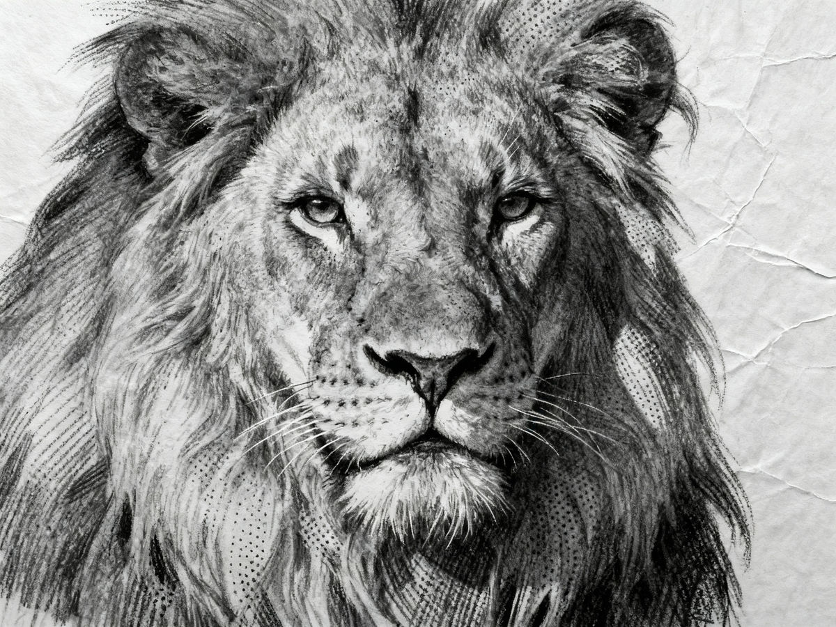 Graphite Drawings - Create Realistic Art With AI