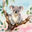 Koala Drawings - Create Cute AI Art