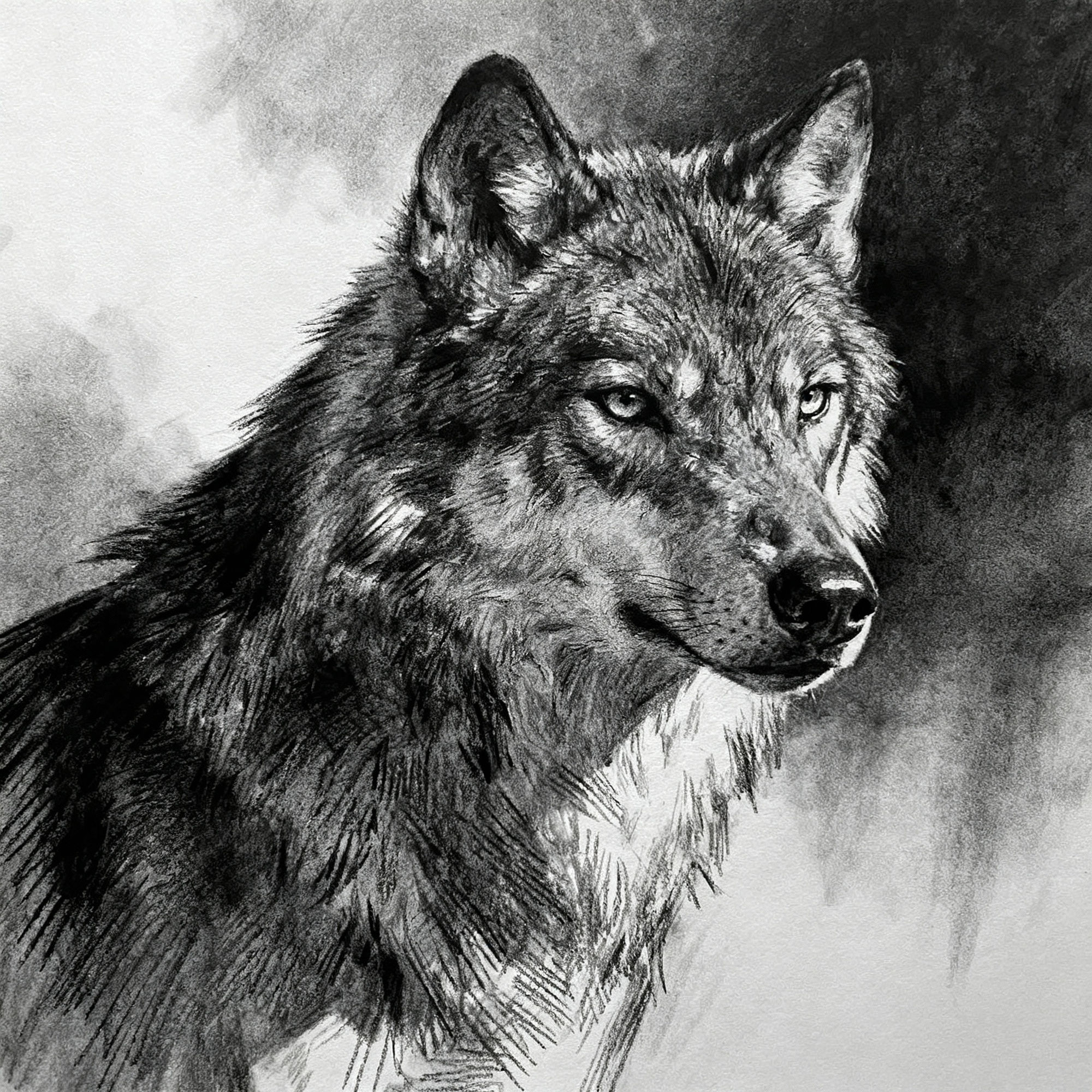 Drawing A Wolf - AI Art Gallery