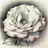 Realistic Flower Drawings - AI Art Generator