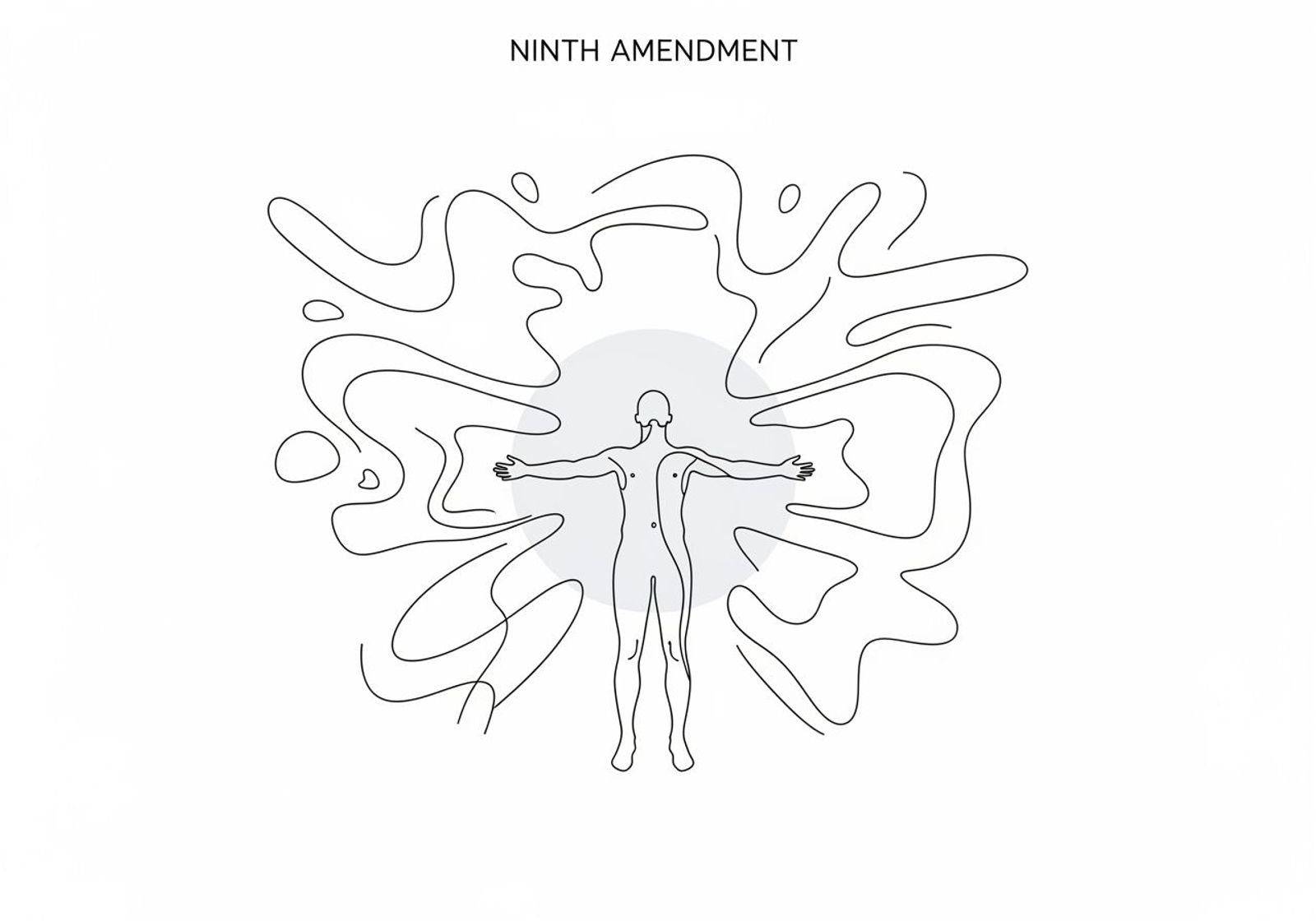 Explore 9th Amendment Drawings And Visualizations