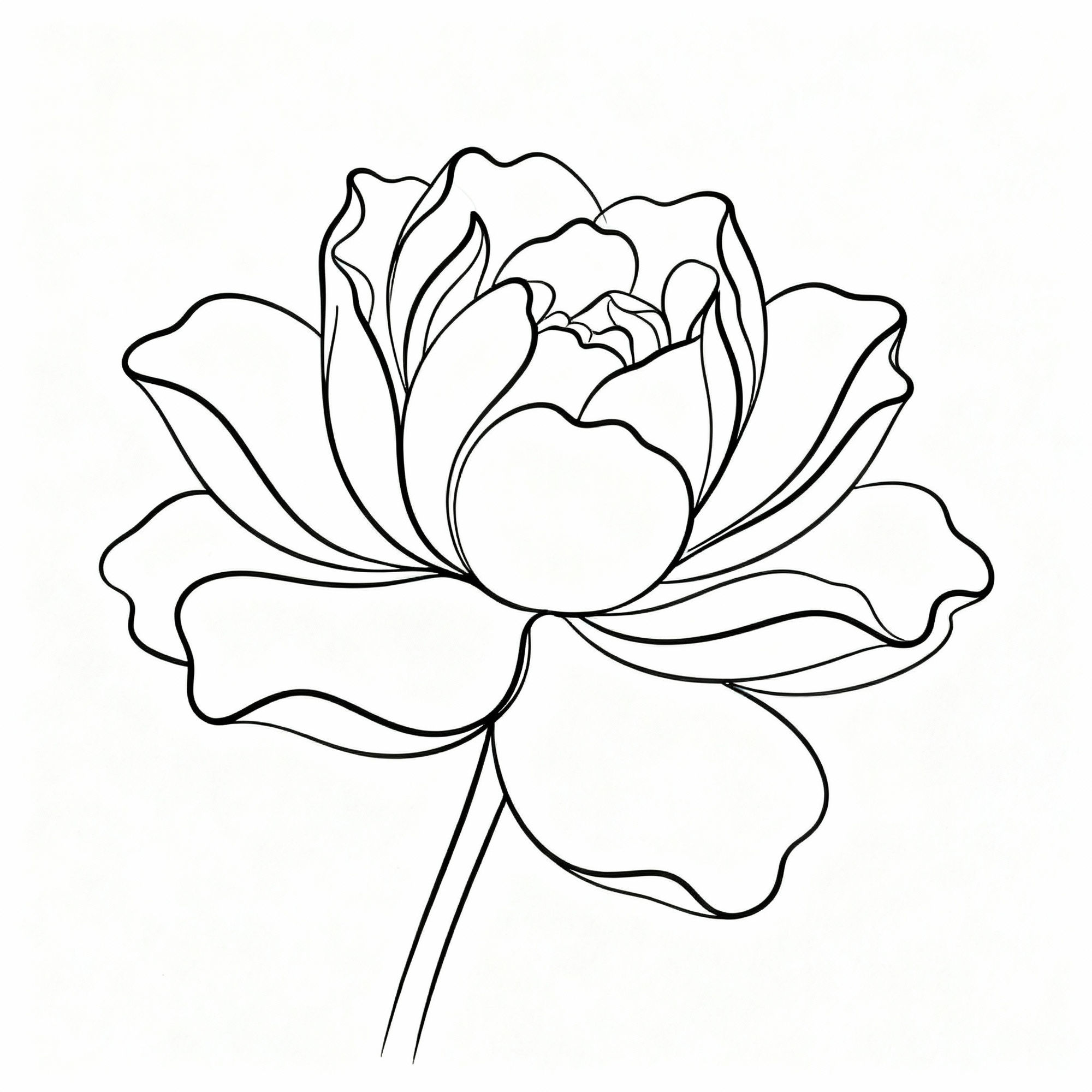 Simple Line Drawings - AI Art Gallery