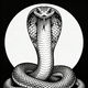 Cobra Drawing - AI Generated Art Gallery