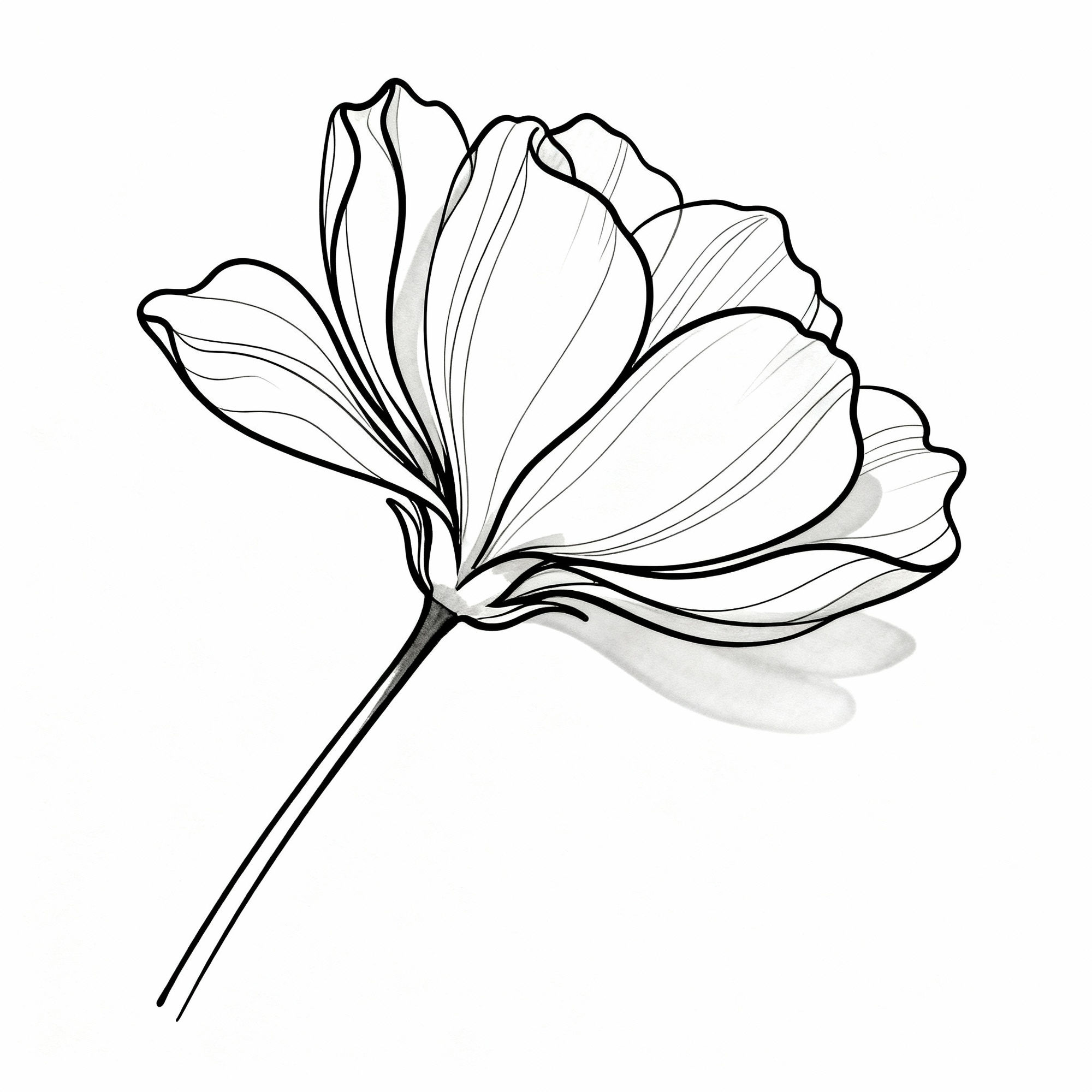 Plain Drawings - AI Art Gallery