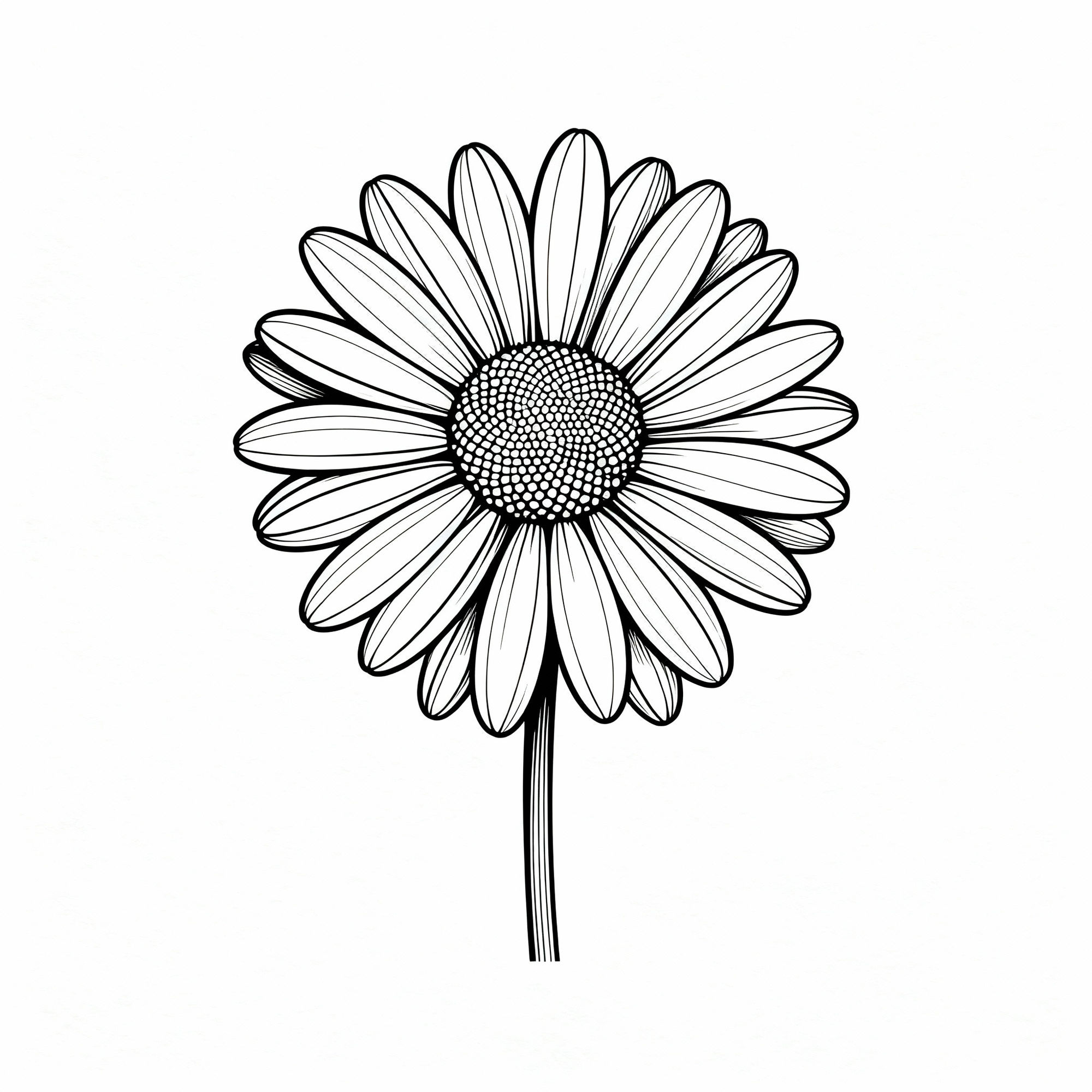 Daisy Line Drawing Art - Create Your Own AI Art