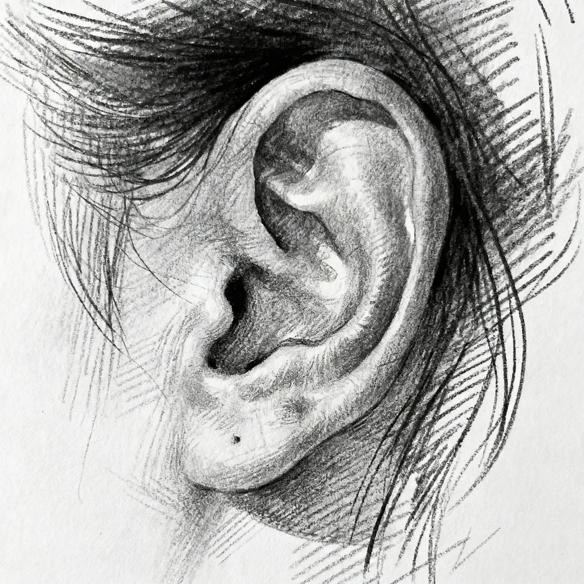 Drawing Ear Art - Create Unique Ear Illustrations