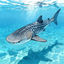 Whale Shark Drawing Top View - AI Generated Art