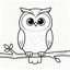 Easy Owl Drawings - Simple & Fun AI Art
