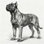 Cane Corso Drawing - Create Stunning Art With AI