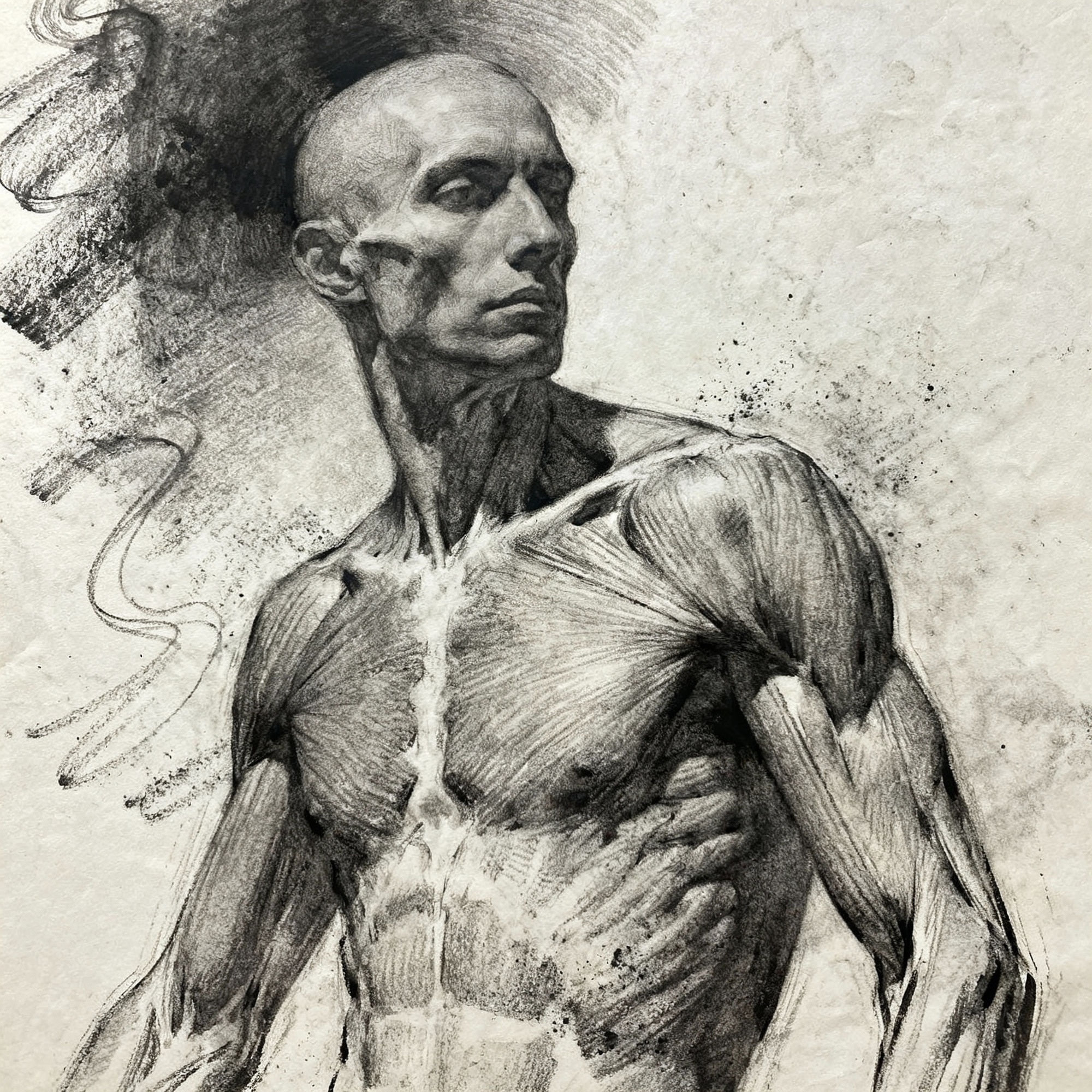 Human Body Drawings - Create Stunning AI Art