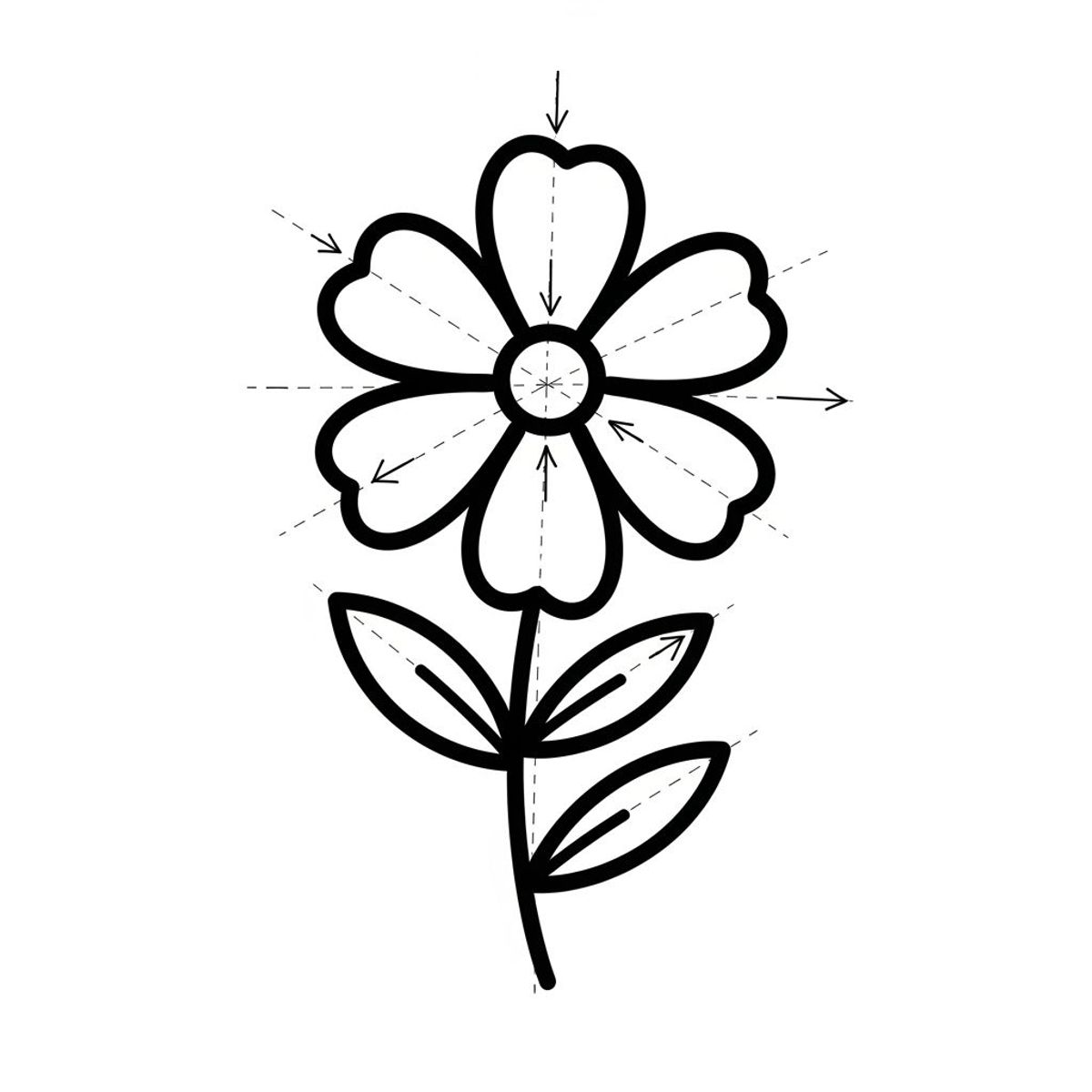 Simple Line Drawing Tutorials For Beginners