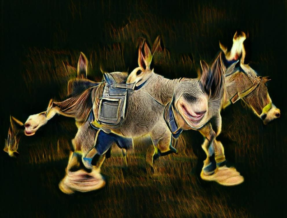 The Stable Donkey gallops into infinity. Smiles blaze through the ...