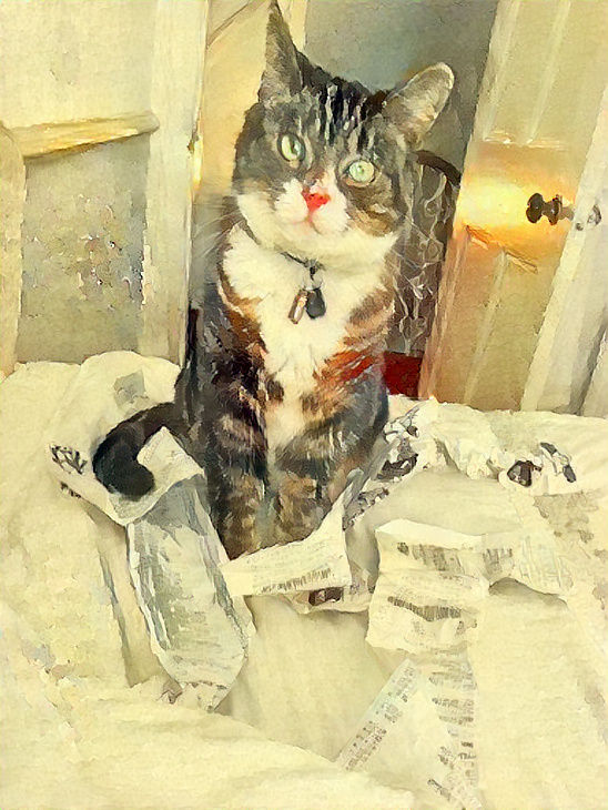 My mum's cat Digby test 5 - AI Generated Artwork - NightCafe Creator