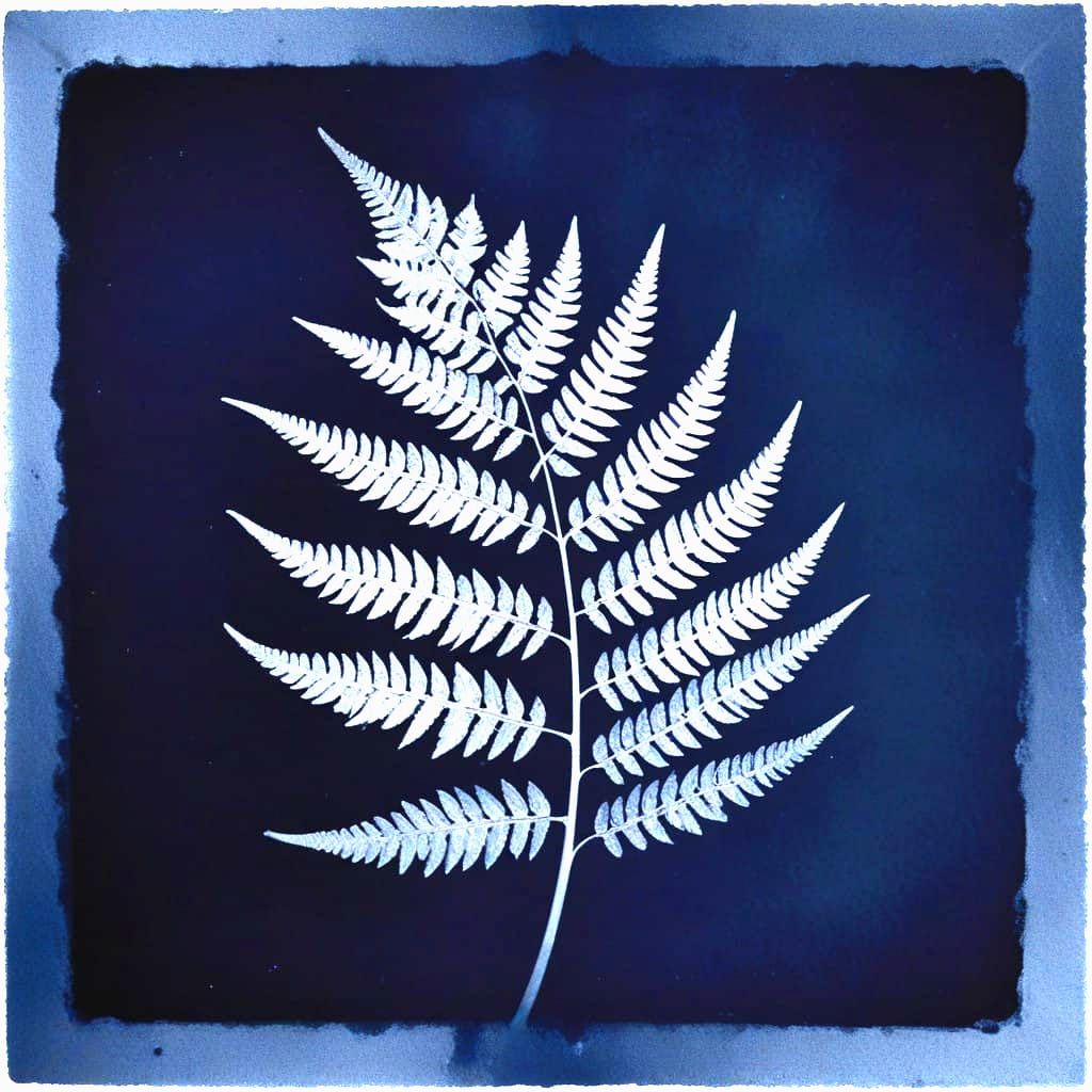 Vintage Cyanotype Fern Leaf Print with Visible Pap... - AI Art