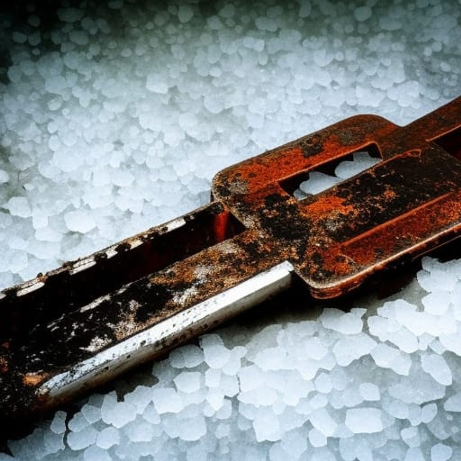 Even the finest sword plunged into salt water will eventually rust ...