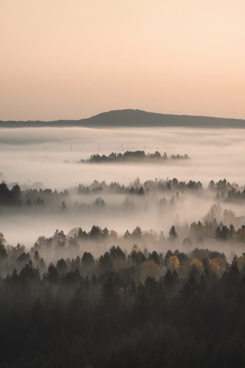 Rolling Mist 2 - Rolling Mist 2