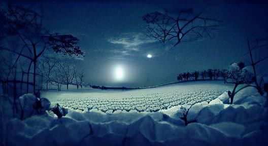 A cold winter night, staring out onto a moonlit field full of soft ...