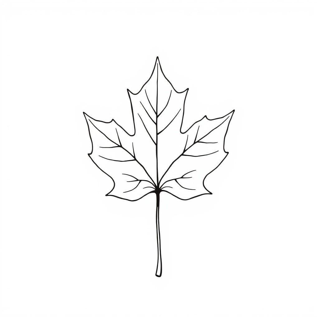 Minimalist Maple Leaf Line Art - AI Art