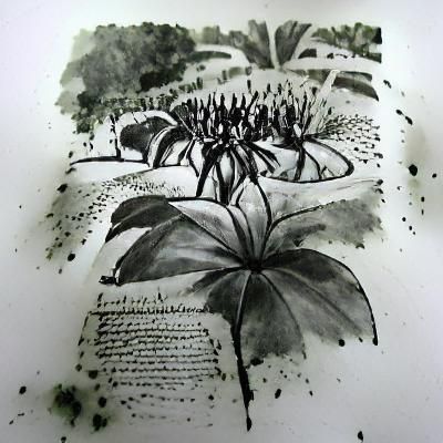 Botanical ink drawing - AI Generated Artwork - NightCafe Creator