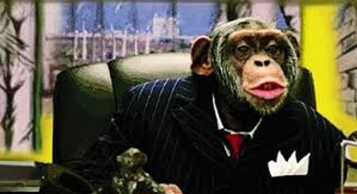 mafia chimp - AI Generated Artwork - NightCafe Creator