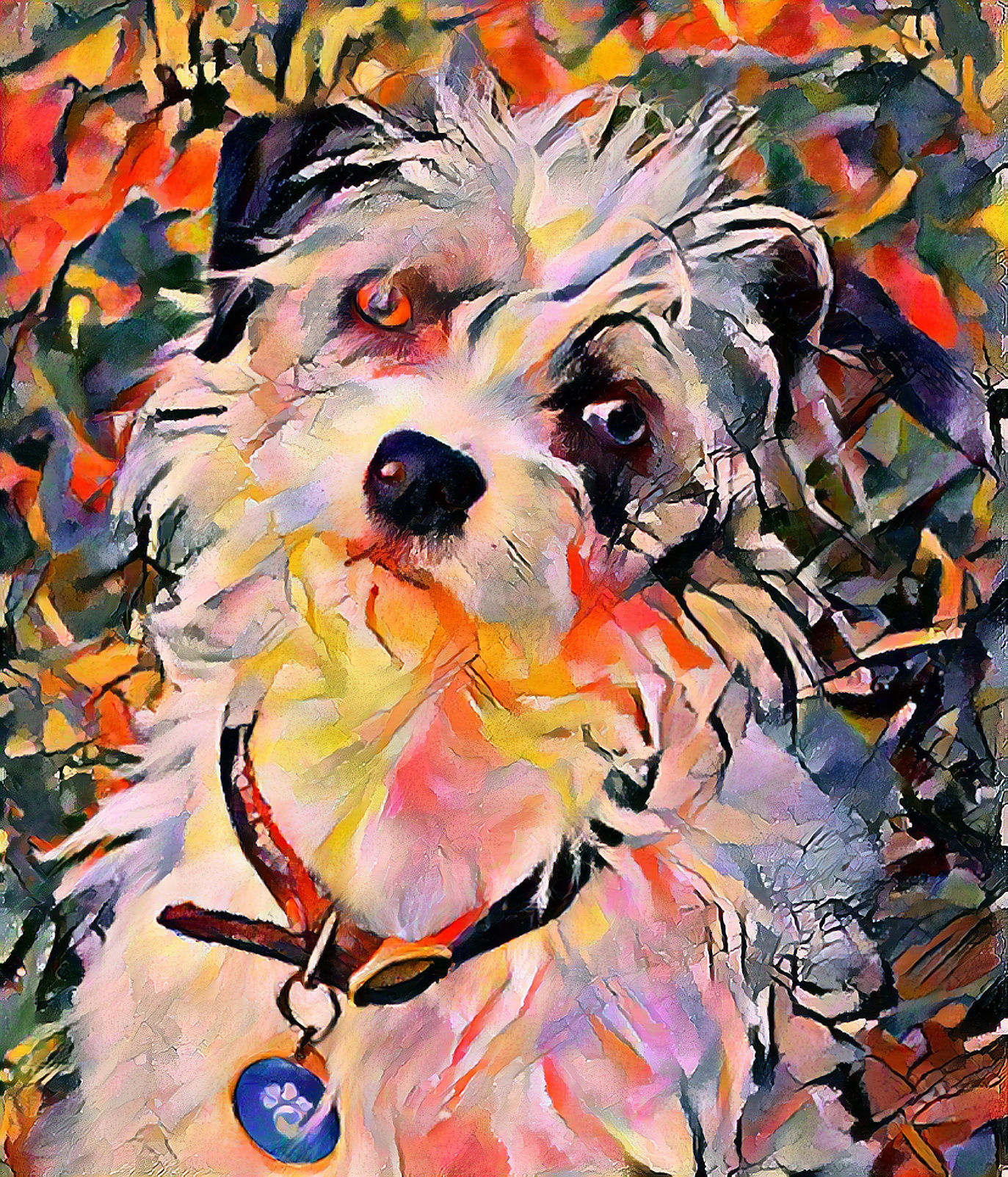 meet my dog named Murphy - AI Generated Artwork - NightCafe Creator