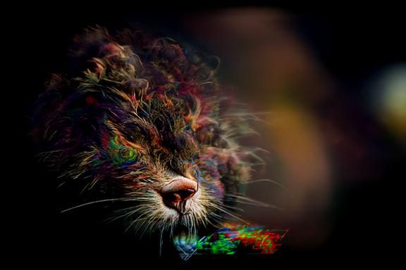 Hypnotic Lion - AI Generated Artwork - NightCafe Creator