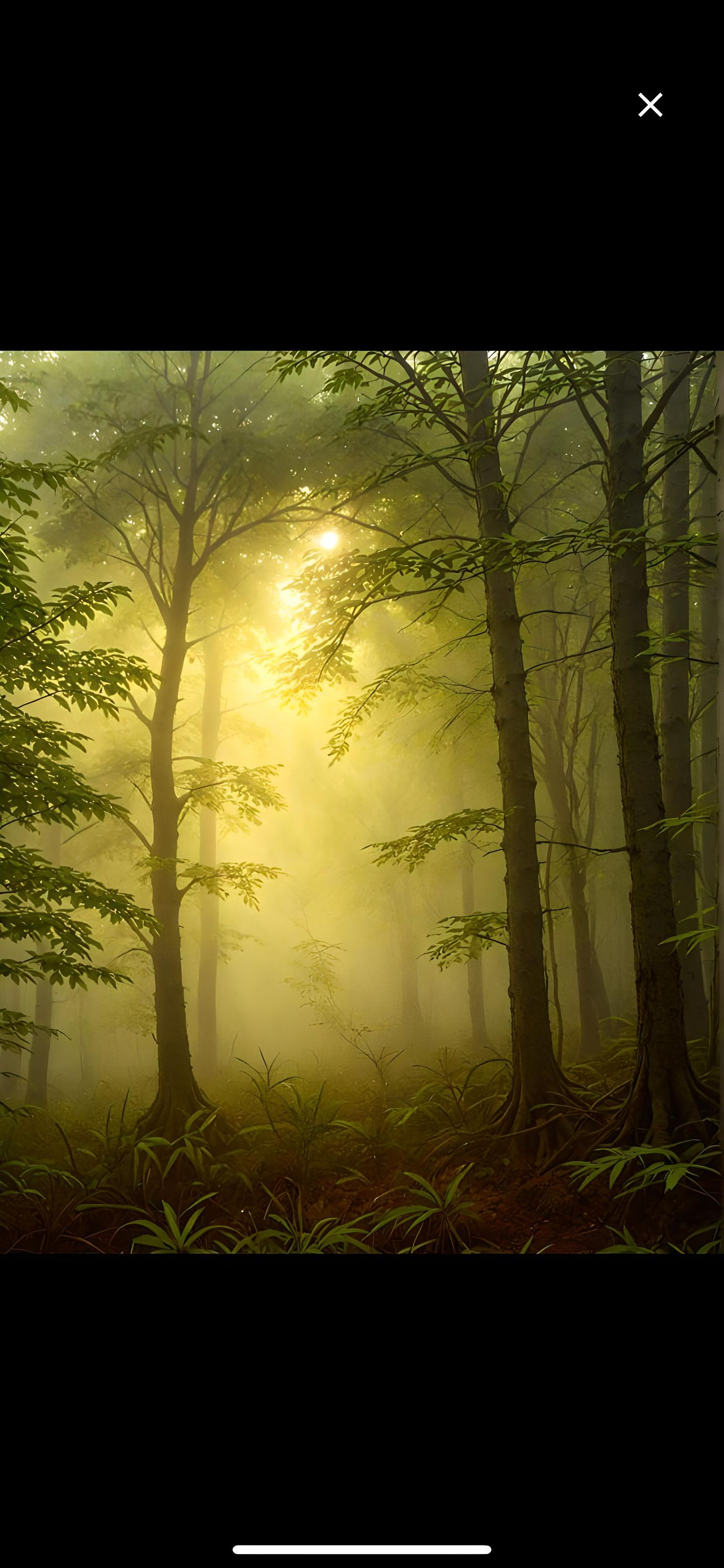 Misty Dim Forest - AI Generated Artwork - NightCafe Creator