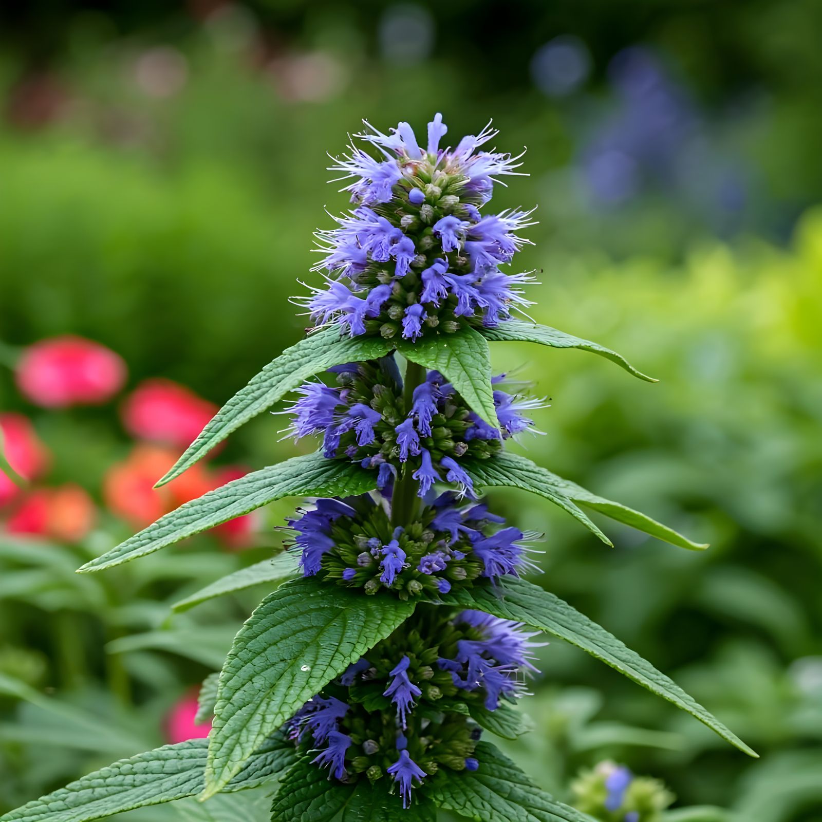 Lush Impressionist Bluebeard in Full Bloom with Vi... - AI Art