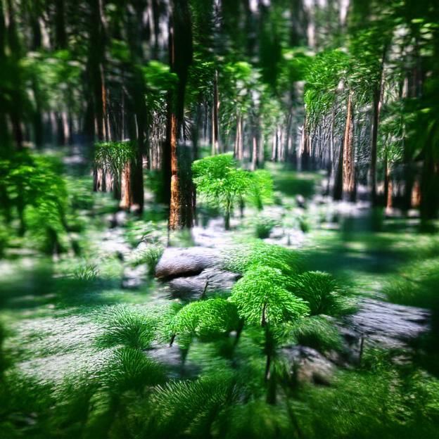 Forest [beautiful 8k resolution realistic] - AI Generated Artwork ...