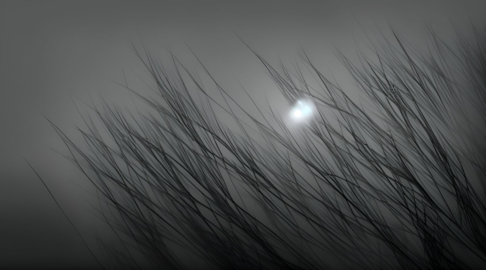 black background, a wisp of light IV, real photo, shadow depth, 8k - AI ...