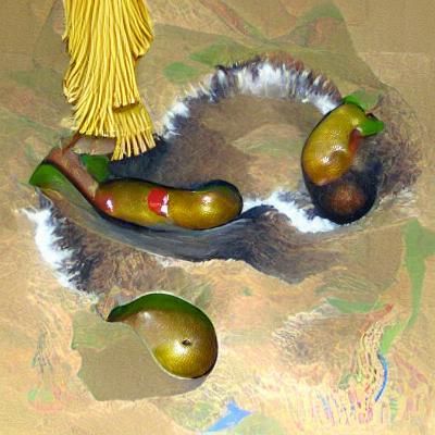 Paguemain, Phagumien ጳጐሜን, Ṗagʷəmen), Pagume, or Pagumay (ጳጉሜ, Ṗagume ...