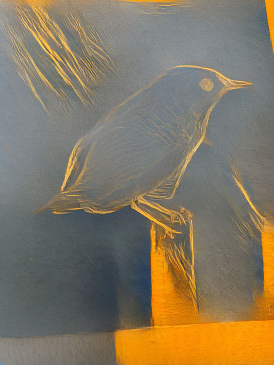 I love to draw, so I drew this bird in school for a project about birds ...