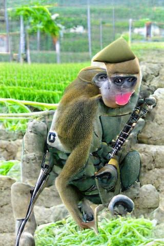 Soldier Monkey - AI Generated Artwork - NightCafe Creator