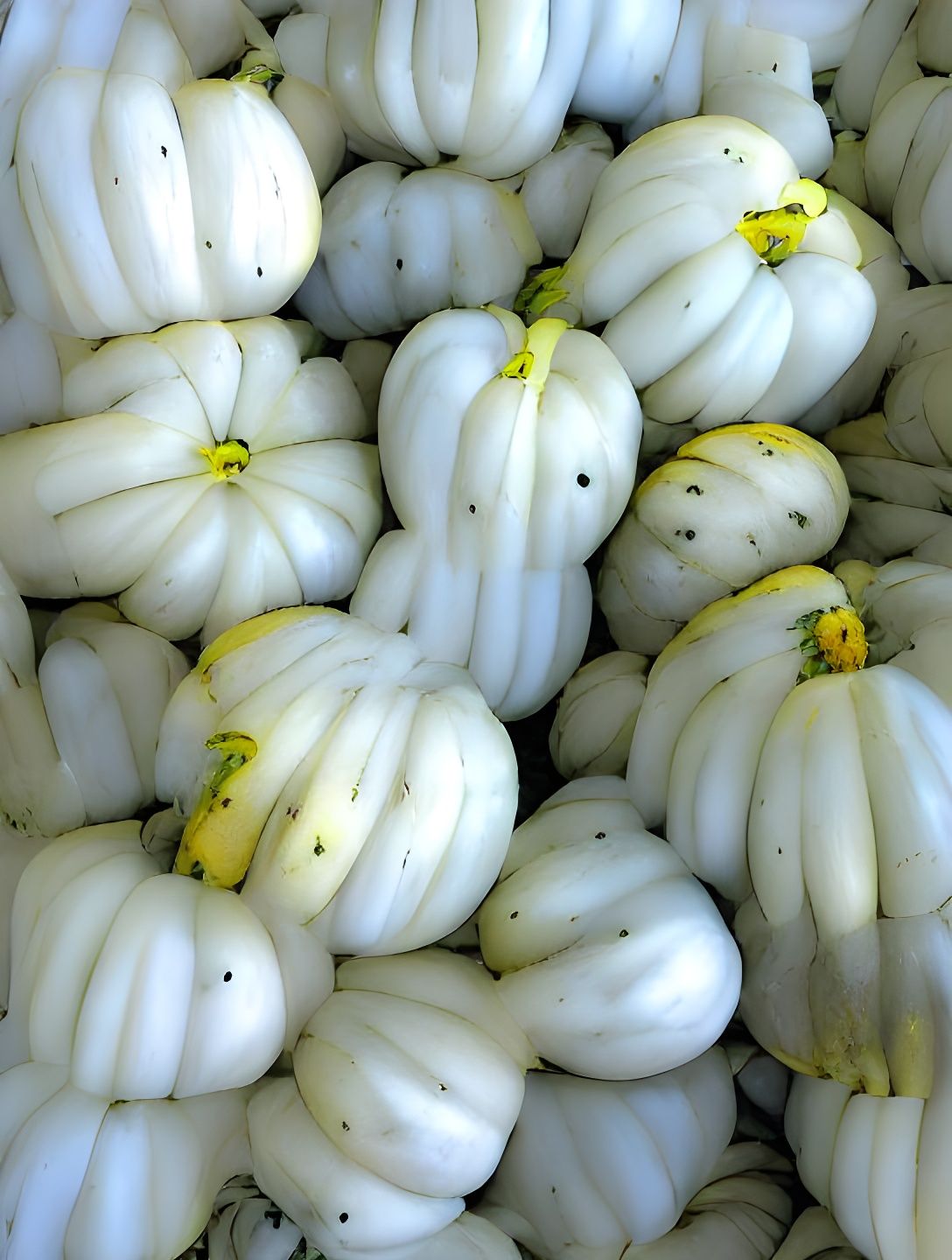 Peeled Mangosteen - AI Generated Artwork - NightCafe Creator