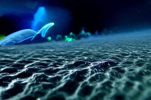 Deep ocean - AI Generated Artwork - NightCafe Creator