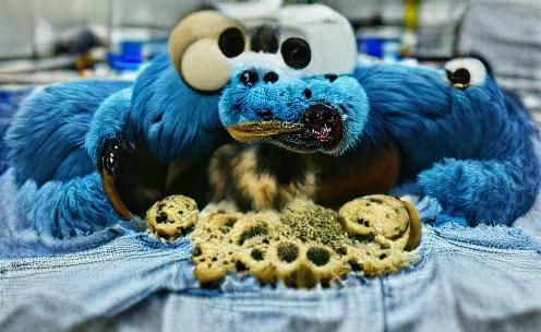 Cookie monster - AI Generated Artwork - NightCafe Creator