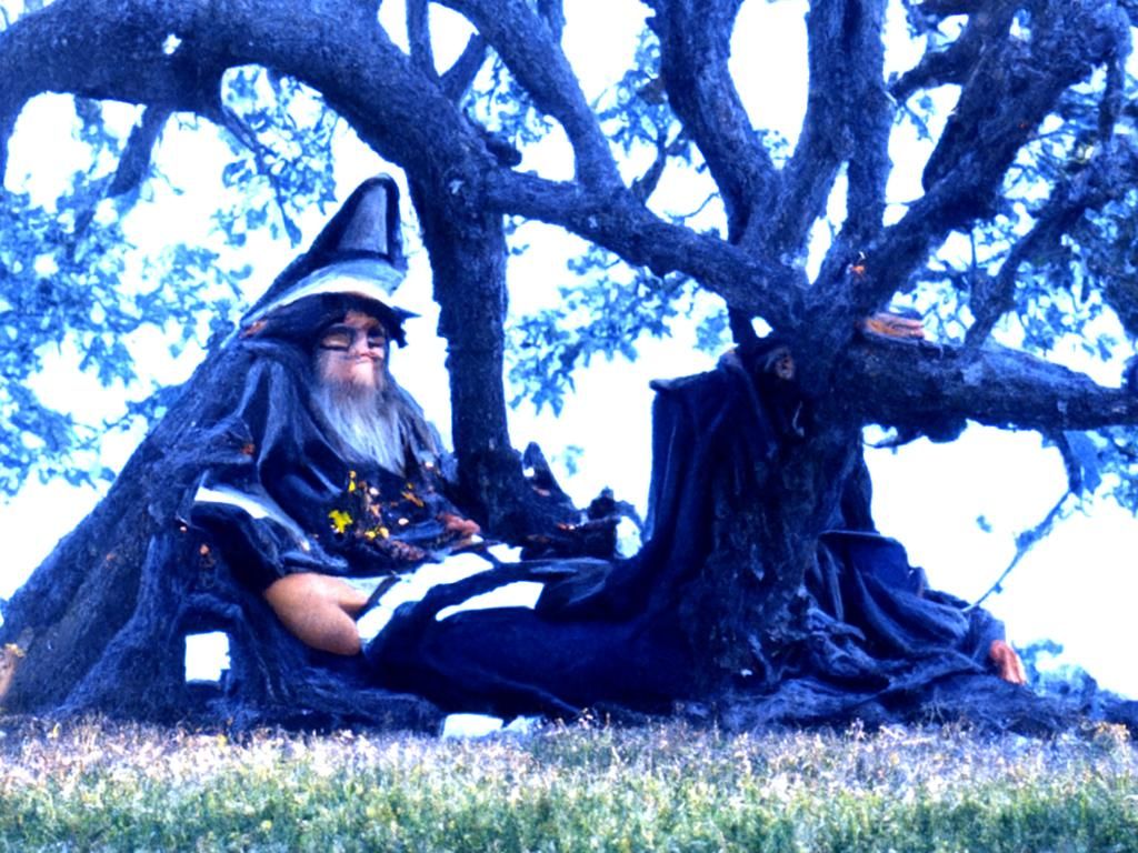Wizard sitting under a tree - AI Generated Artwork - NightCafe Creator