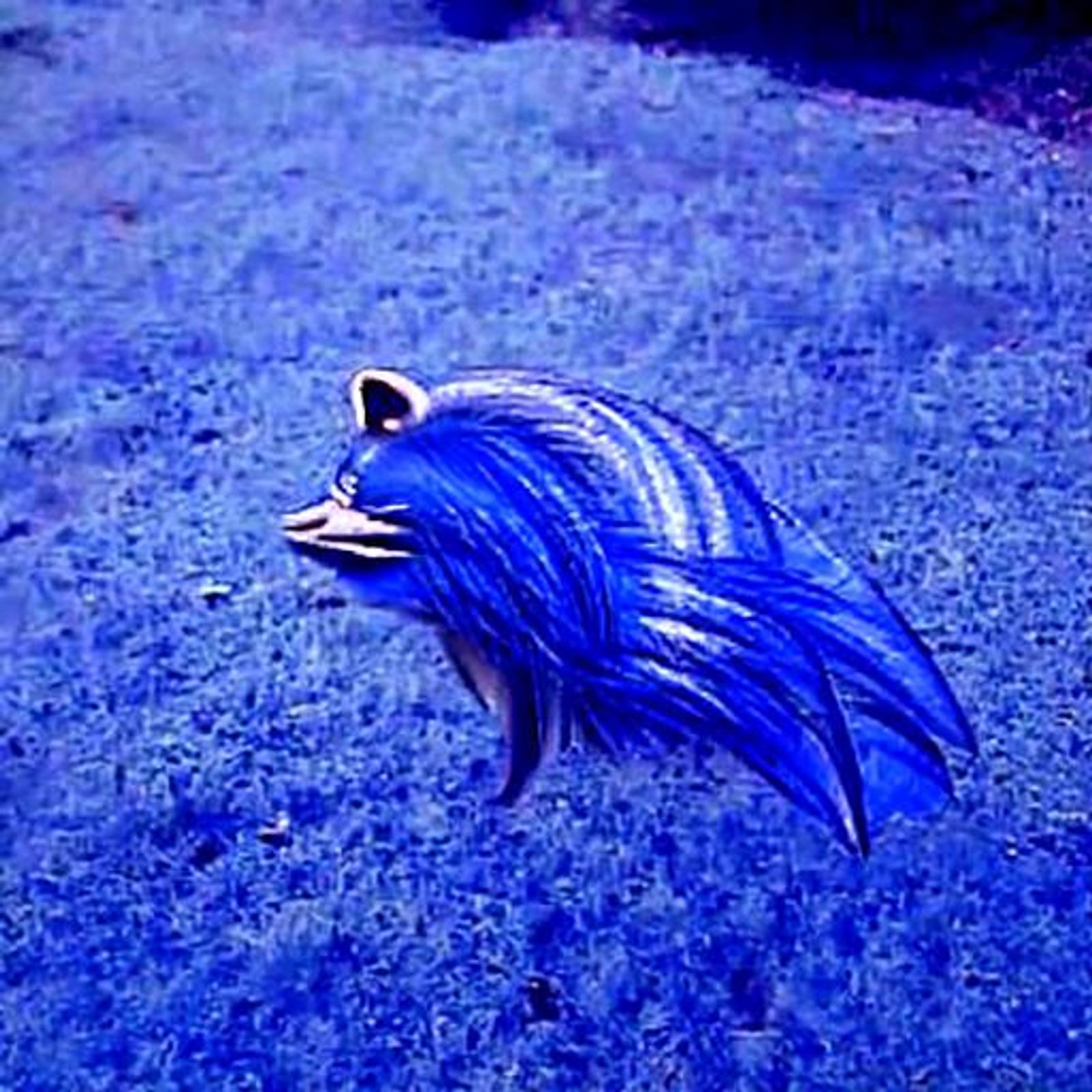 Sonic The Hedgehog - AI Generated Artwork - NightCafe Creator