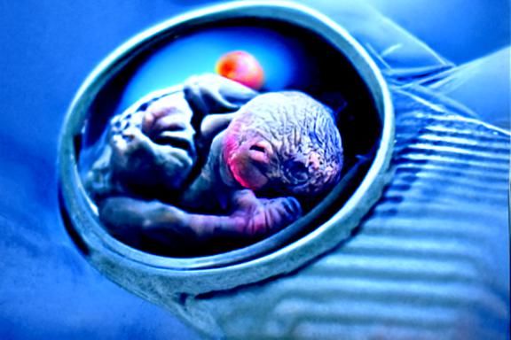 SCRYPTIC_AI - User on NightCafe Creator - NightCafe Creator