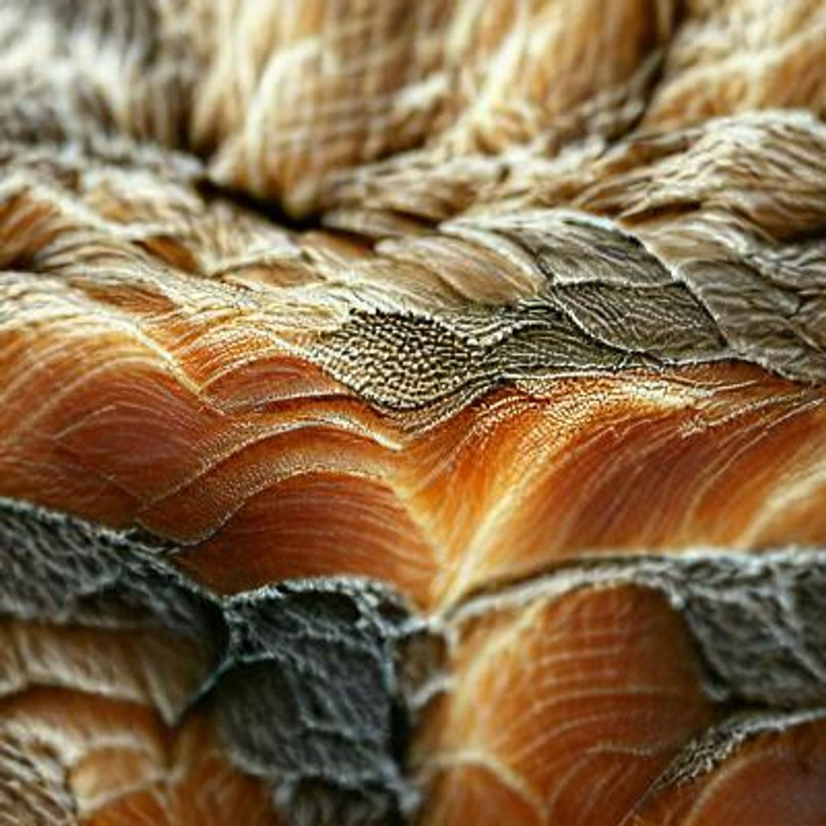 fine marvelous texture - AI Generated Artwork - NightCafe Creator