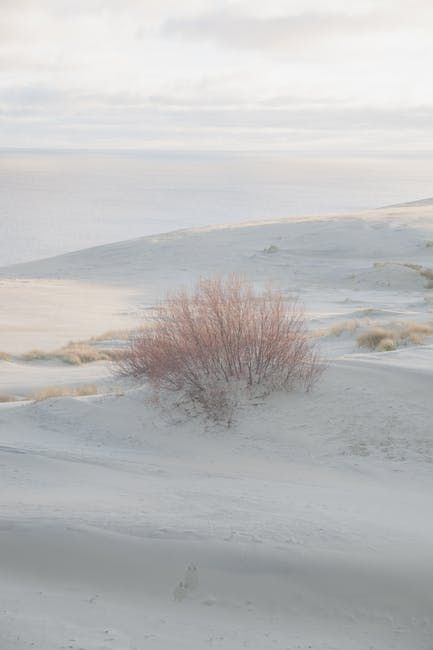 The burning bush - AI Generated Artwork - NightCafe Creator