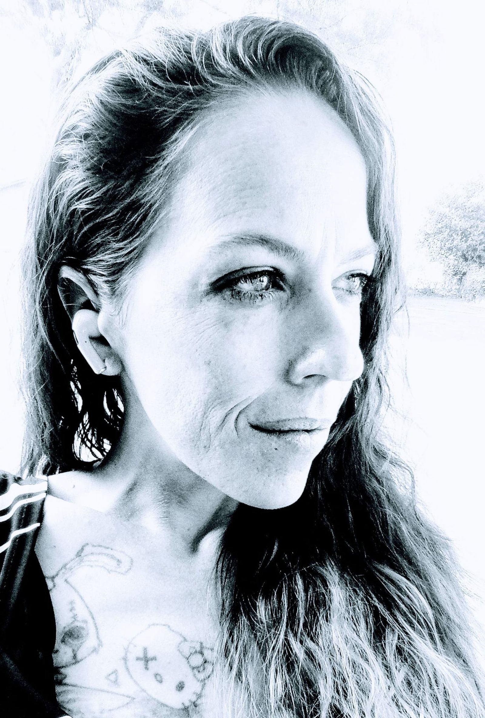 Enchanted Forest - AI Generated Artwork - NightCafe Creator