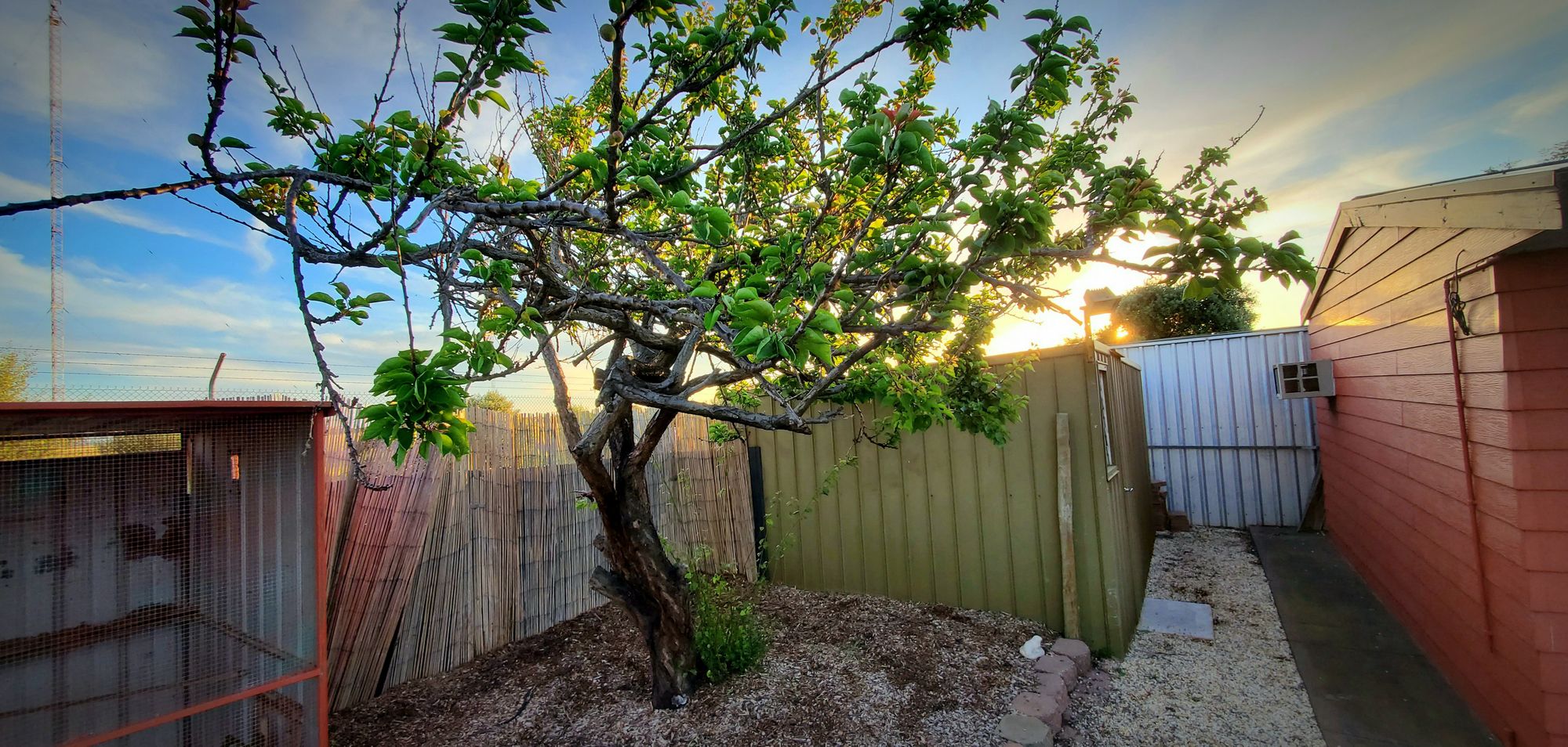 Mistborn sanderson kelsier sazed koloss kandra fantasy landscape - AI ...