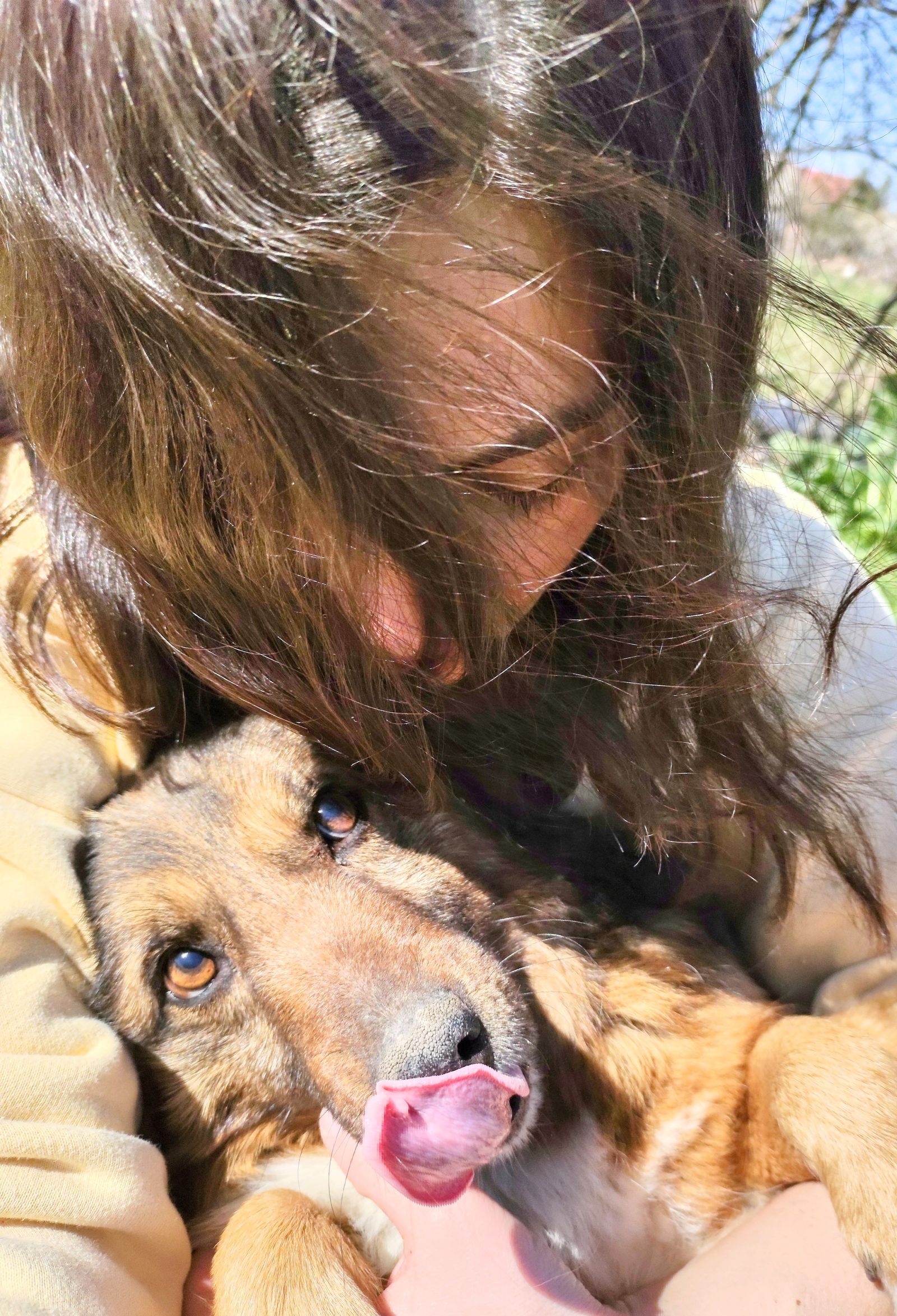 Nomad Dreamer - User on NightCafe - NightCafe