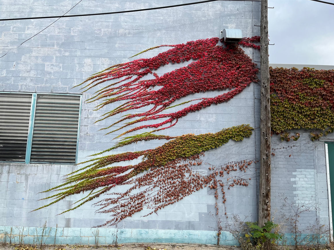 Stone Shellabarger - User on NightCafe Creator - NightCafe Creator