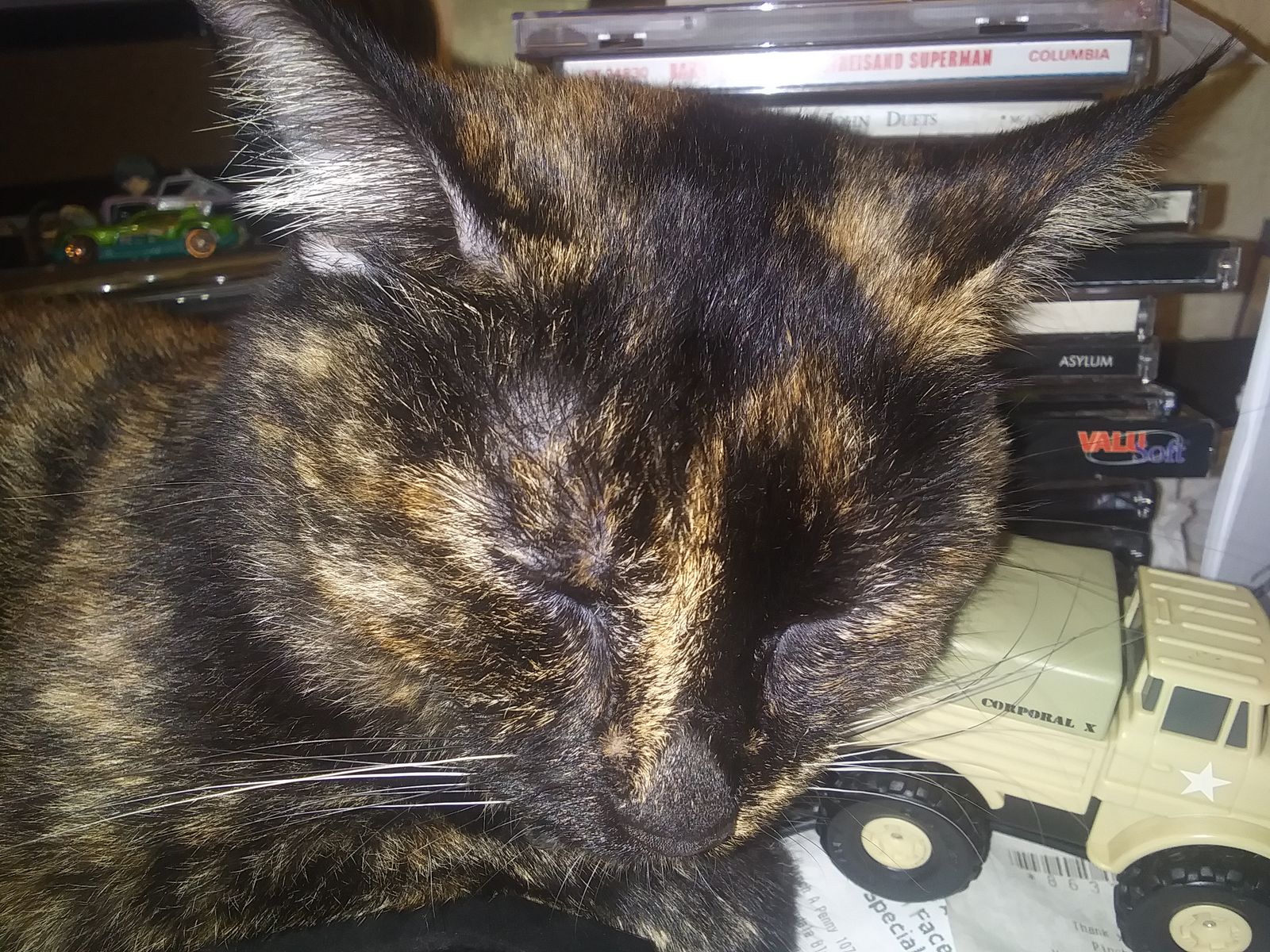 The Cat Man - User on NightCafe Creator - NightCafe Creator