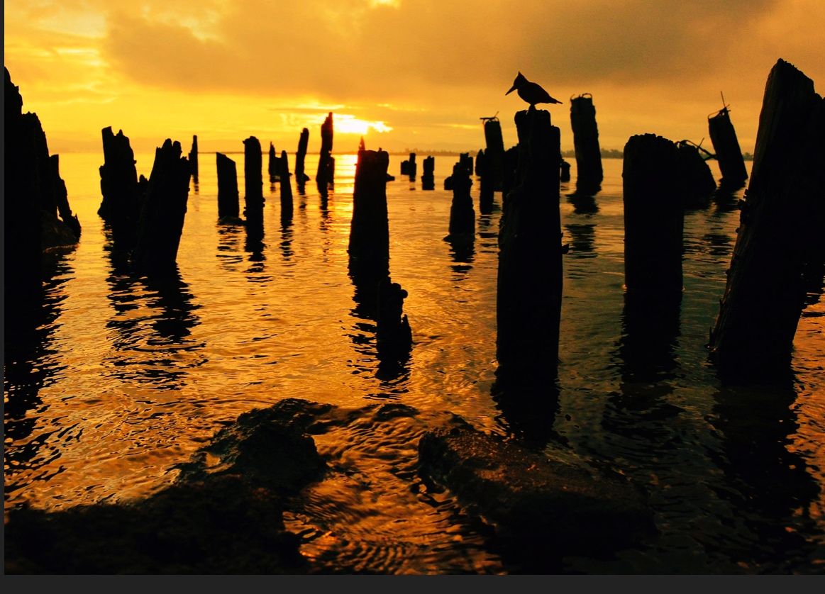 Serene and tranquility - AI Generated Artwork - NightCafe Creator