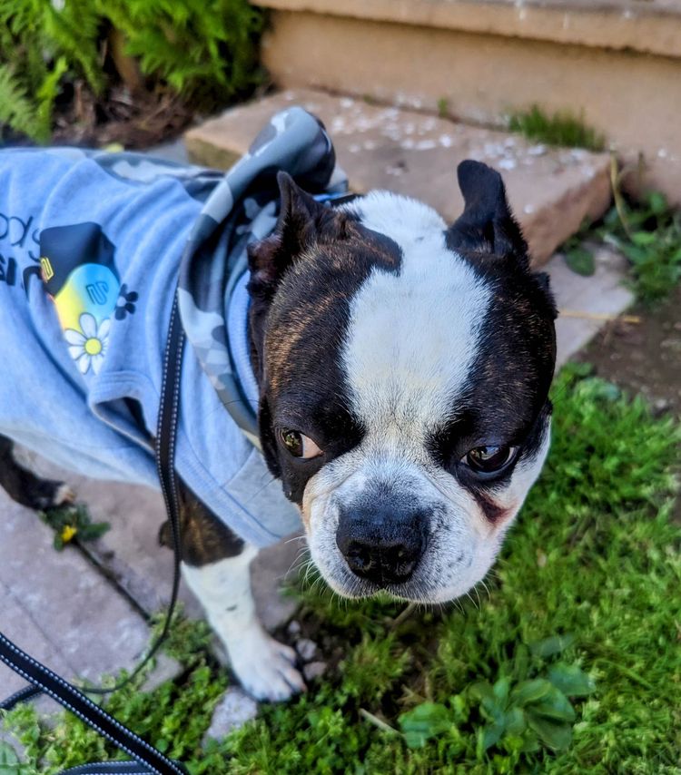 Hellspawn - AI Generated Artwork - NightCafe Creator